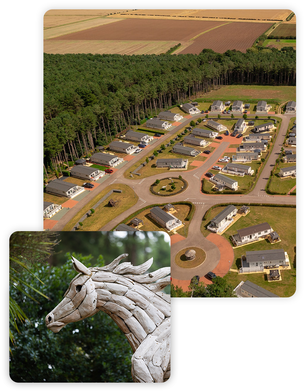 Don Amott Parks Special Edition Caravan | The Eminence